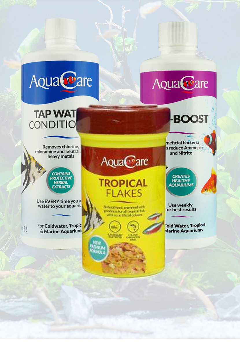 How long do I need to leave my tropical tank before I can add my first ...