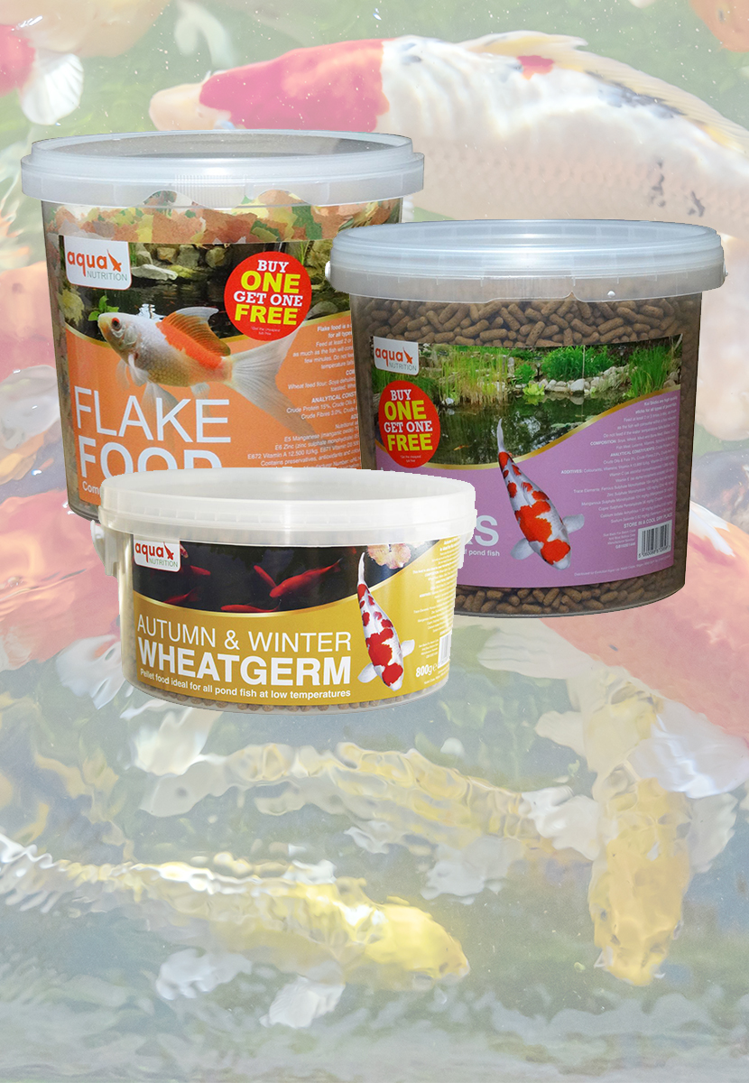 How long do I need to leave my tropical tank before I can add my first ...