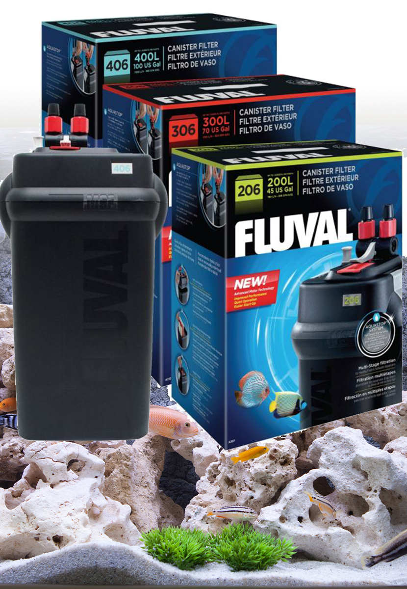 How long do I need to leave my tropical tank before I can add my first ...