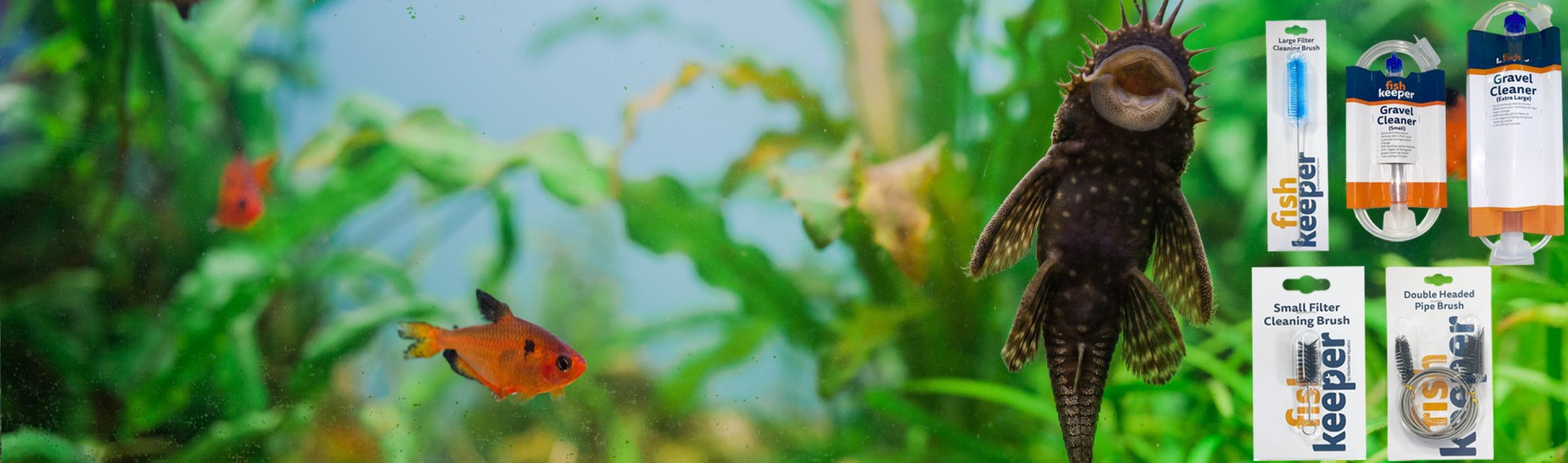 Maidenhead Aquatics - The UK's Leading Aquatics Retailer