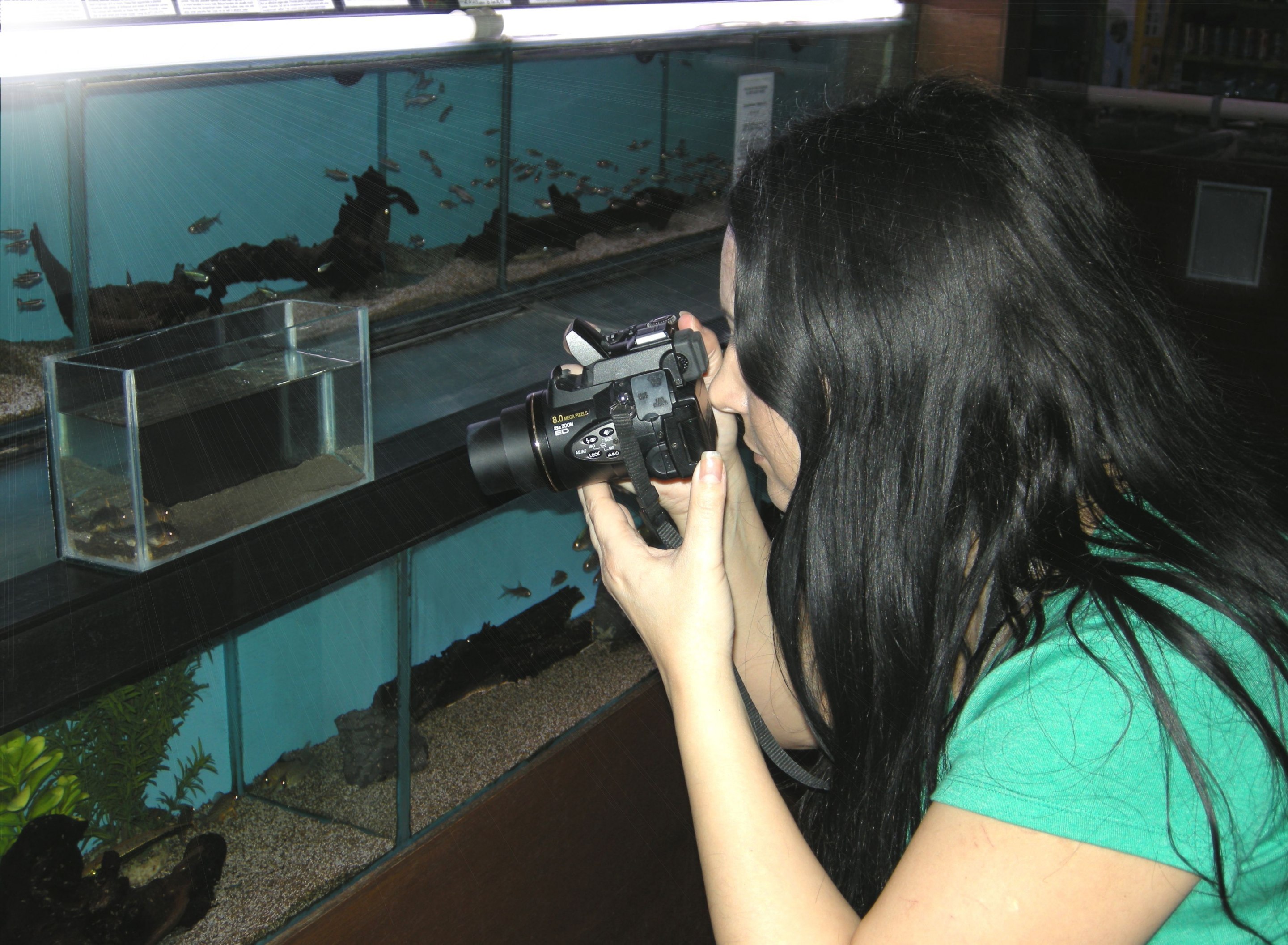 Capture Your Aquarium At Its Best With Our Handy Photography Guide