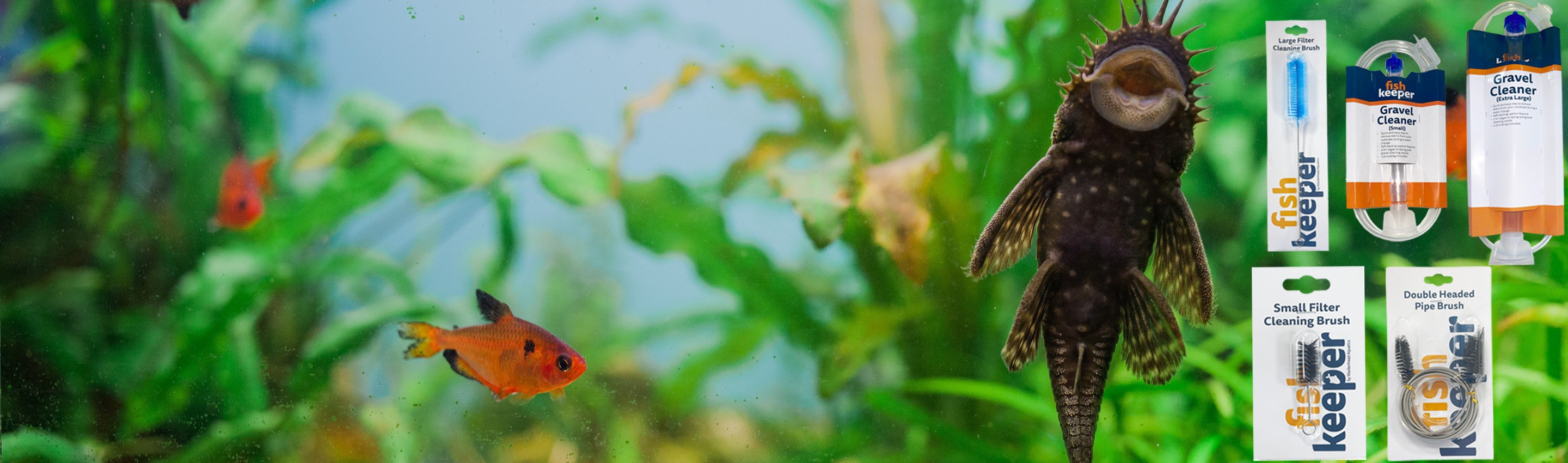 Maidenhead Aquatics - The UK's Leading Aquatics Retailer