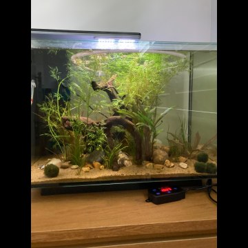 Competitions All Entries