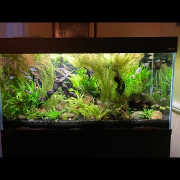 Competitions All Entries