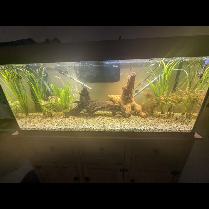 Competitions All Entries