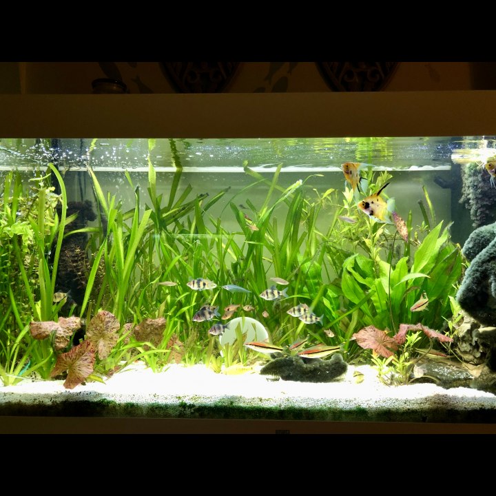 Competitions All Entries