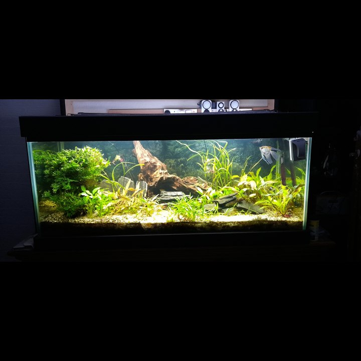 Competitions All Entries