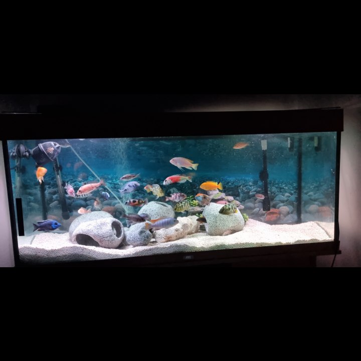 Competitions All Entries