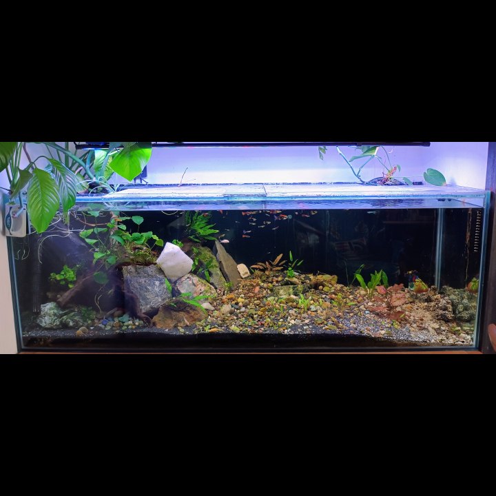 Competitions All Entries