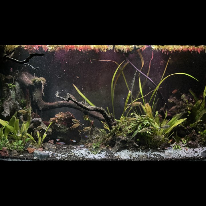 Competitions All Entries