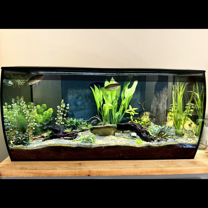 Competitions All Entries