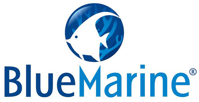 Blue Marine