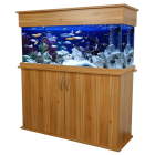 SeaBray Elite 72" x 18" x 24” Aquarium & Cabinet - Tiepolo