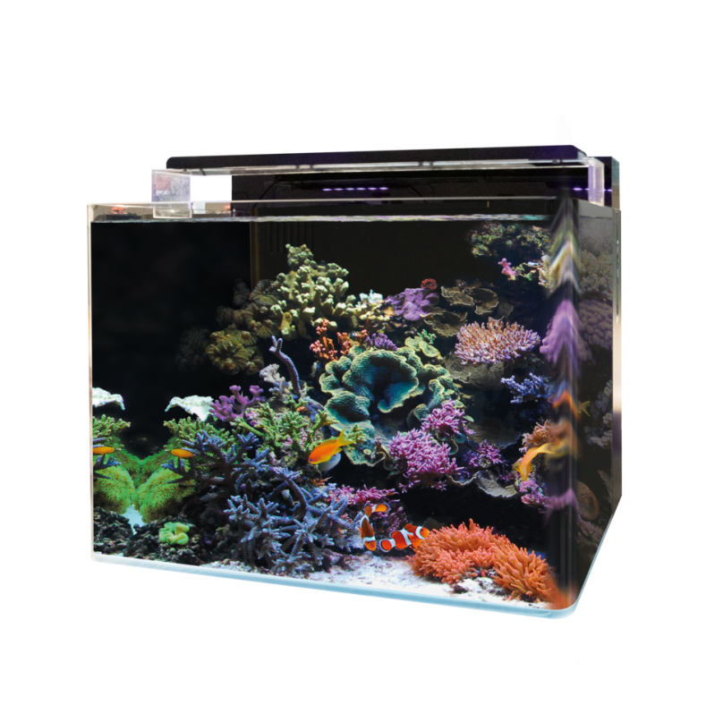 Blue Marine Reef 120 Aquarium and Cabinet
