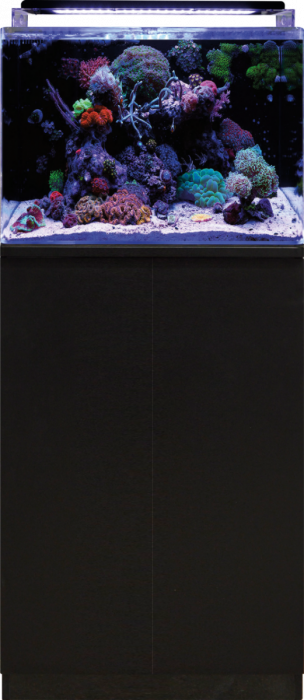 Blue Marine Reef 120 Aquarium and Cabinet