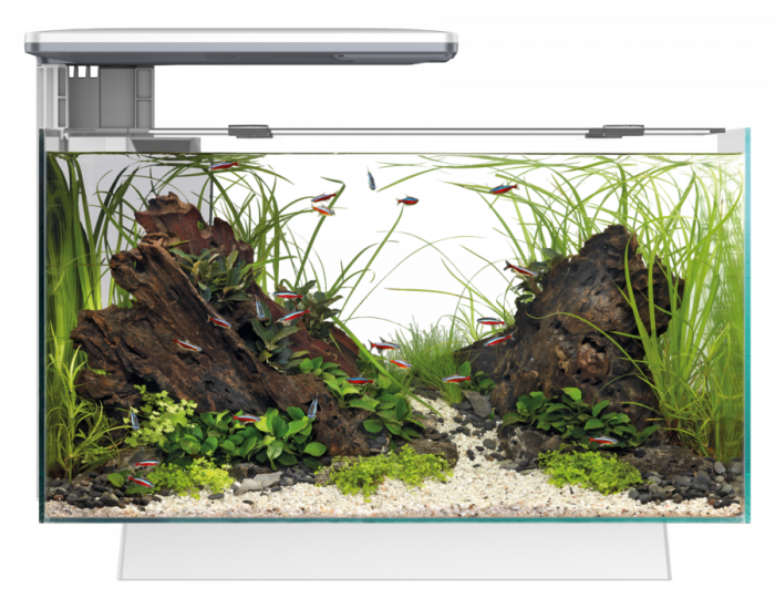 Superfish Quadro 40 Pro LED Aquarium - White
