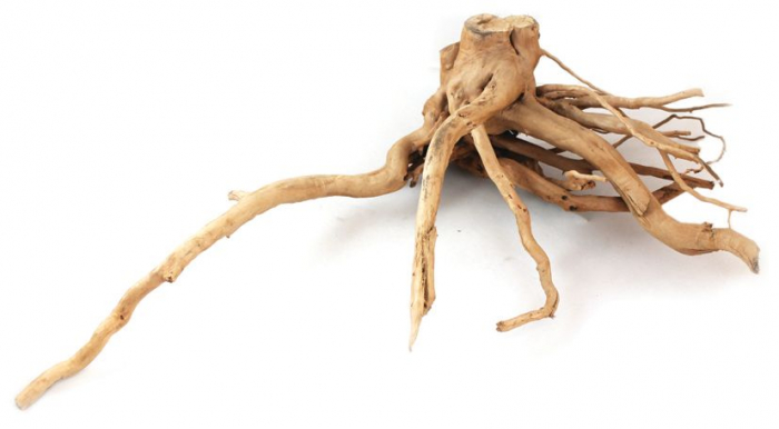 Aquarium Wood - Azalea Root 50-60cm