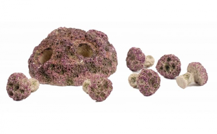 TMC Coral Frag Plug Rock - Maidenhead Aquatics
