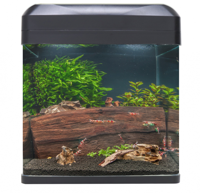 Fishkeeper MyQuarium Black 16L