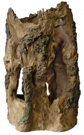 Superfish - Tree Home - Maidenhead Aquatics