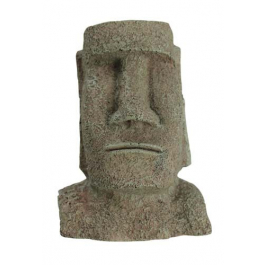 AquaOne Eastern Islander Head