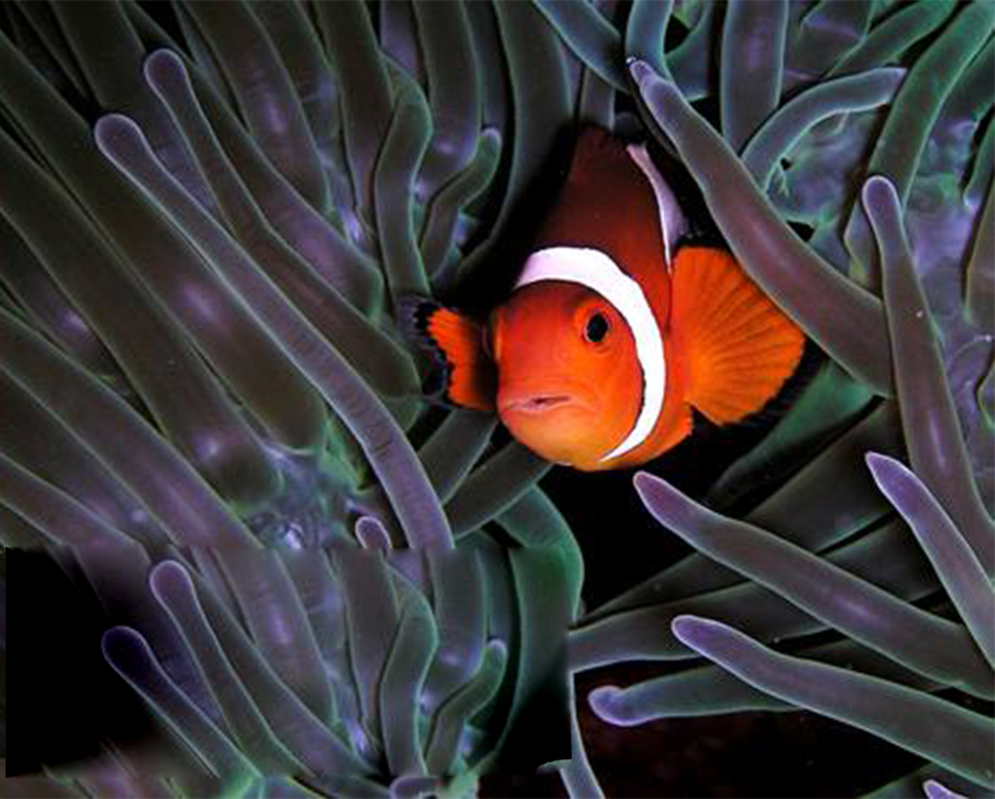 I’ll Scratch Your Back And You Scratch Mine'