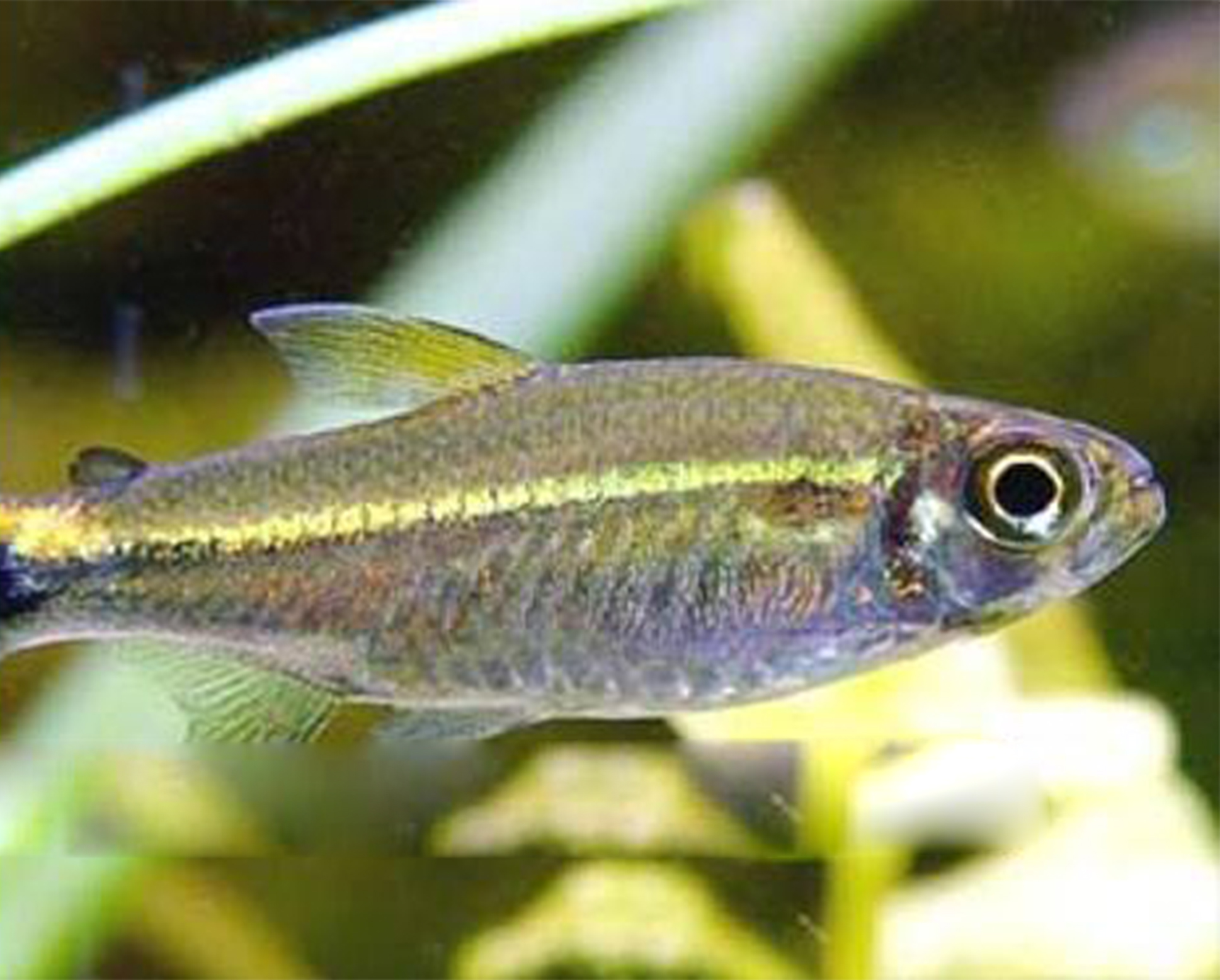 Flashy Fashion’s in for January