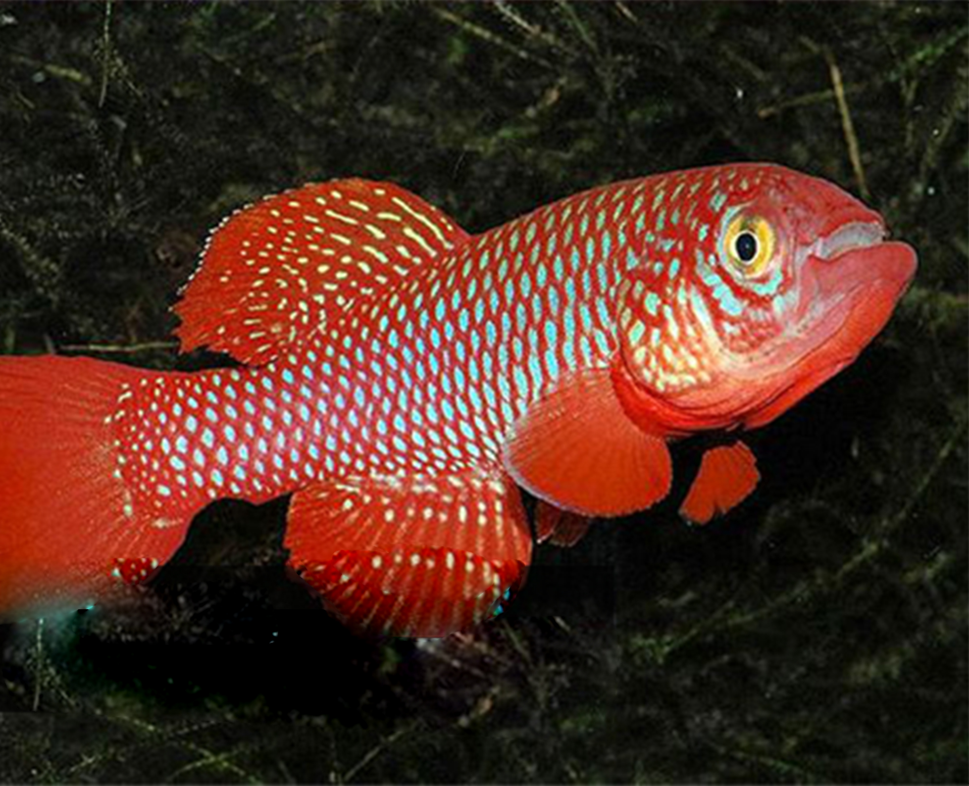 They Grow Up so Quickly...