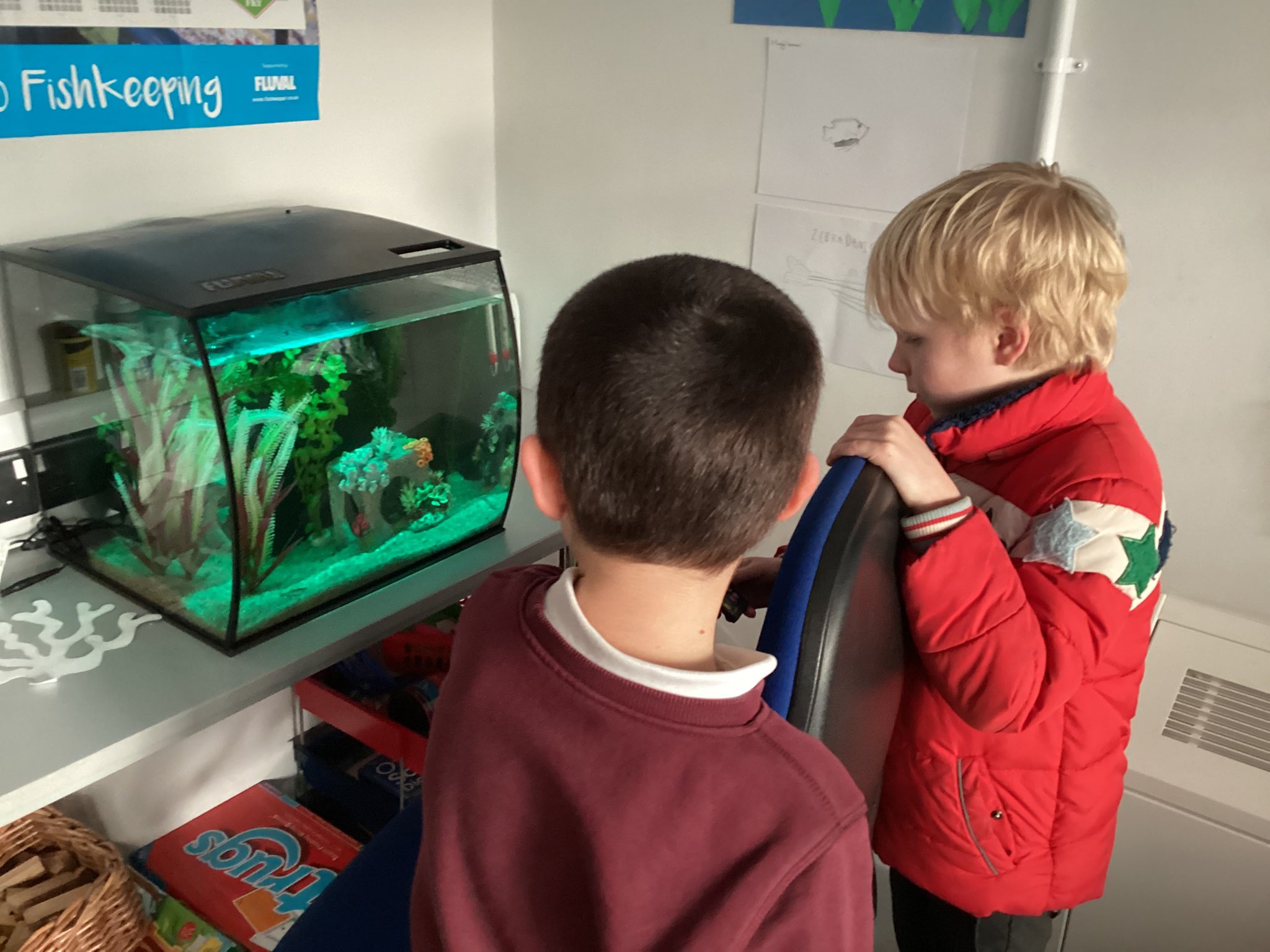 Fishkeeper Fry Week 5