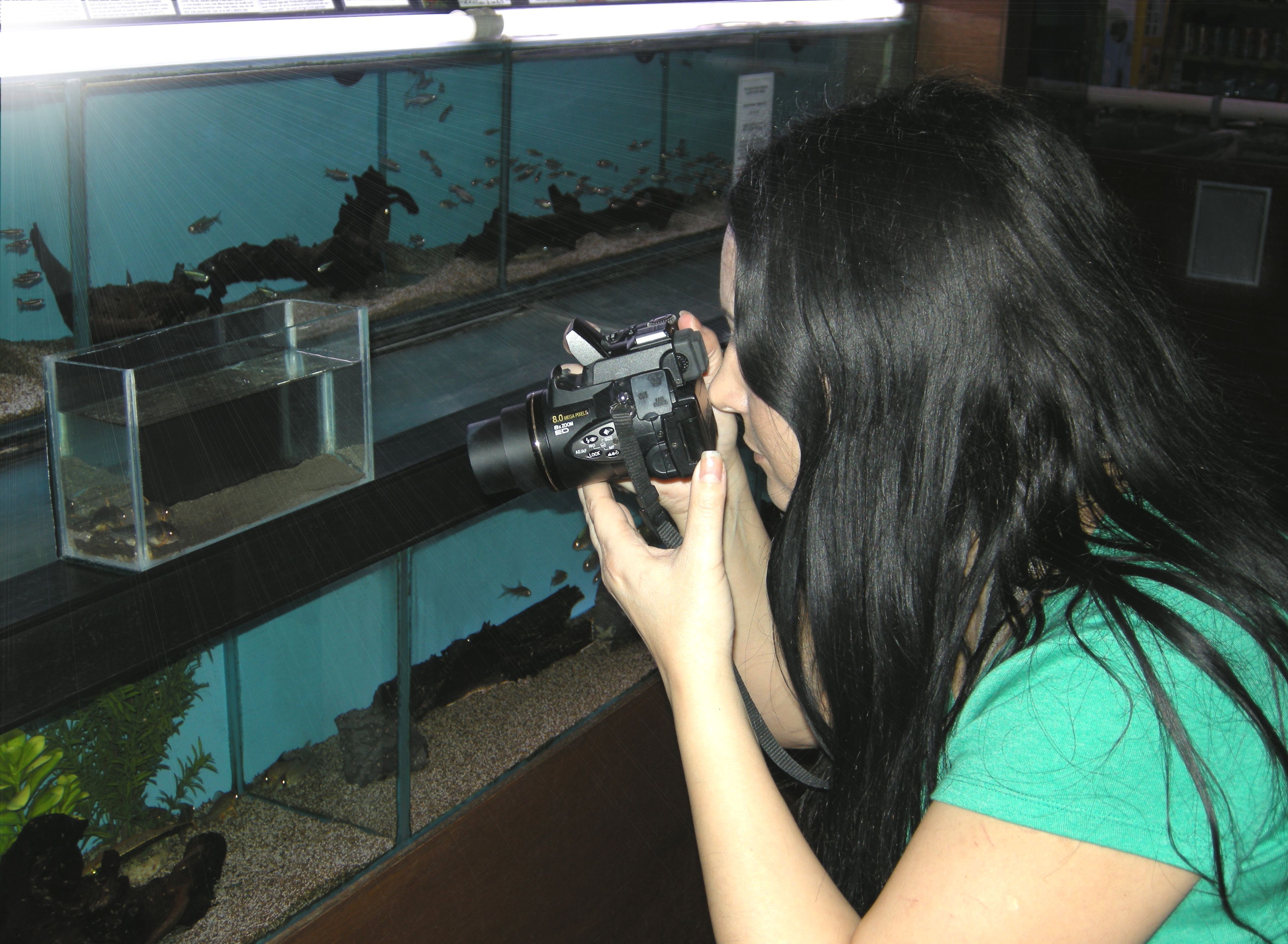 Capture Your Aquarium At Its Best With Our Handy Photography Guide