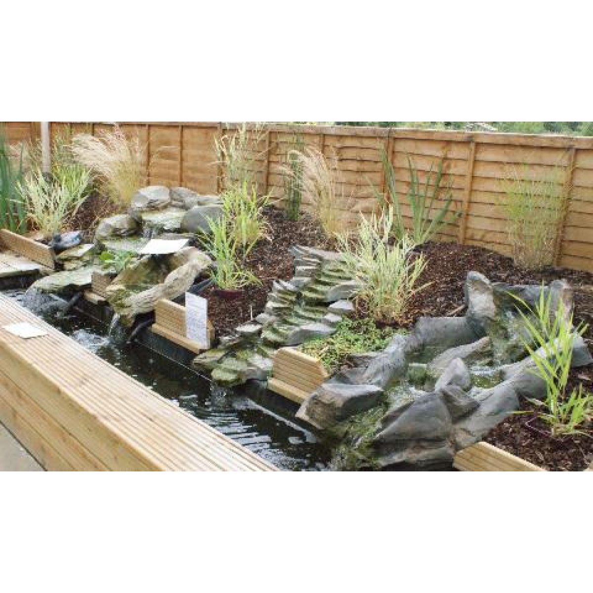 Cambridge - Coton - Maidenhead Aquatics