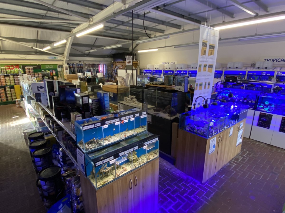 Crawley - Maidenhead Aquatics