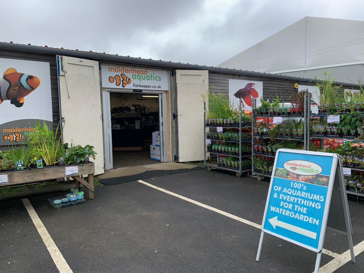 Stokesley - Maidenhead Aquatics