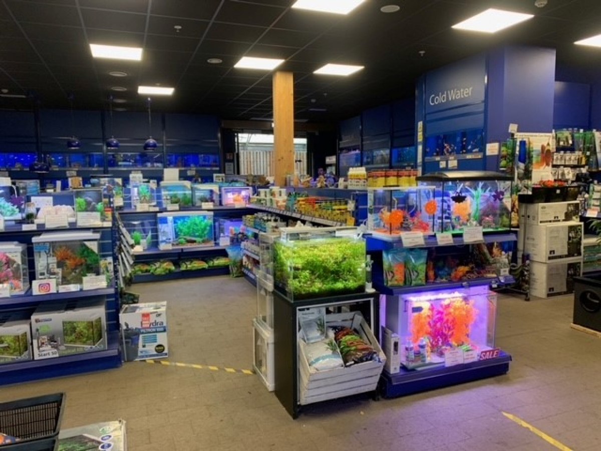 Liverpool - Maidenhead Aquatics