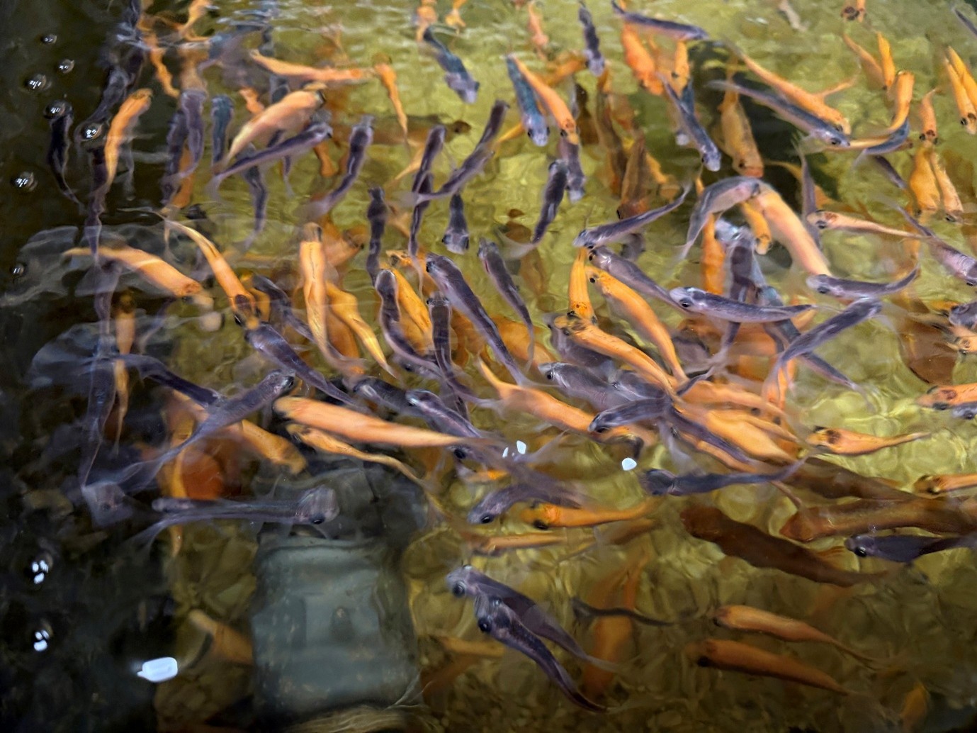 What's in store - January 2026